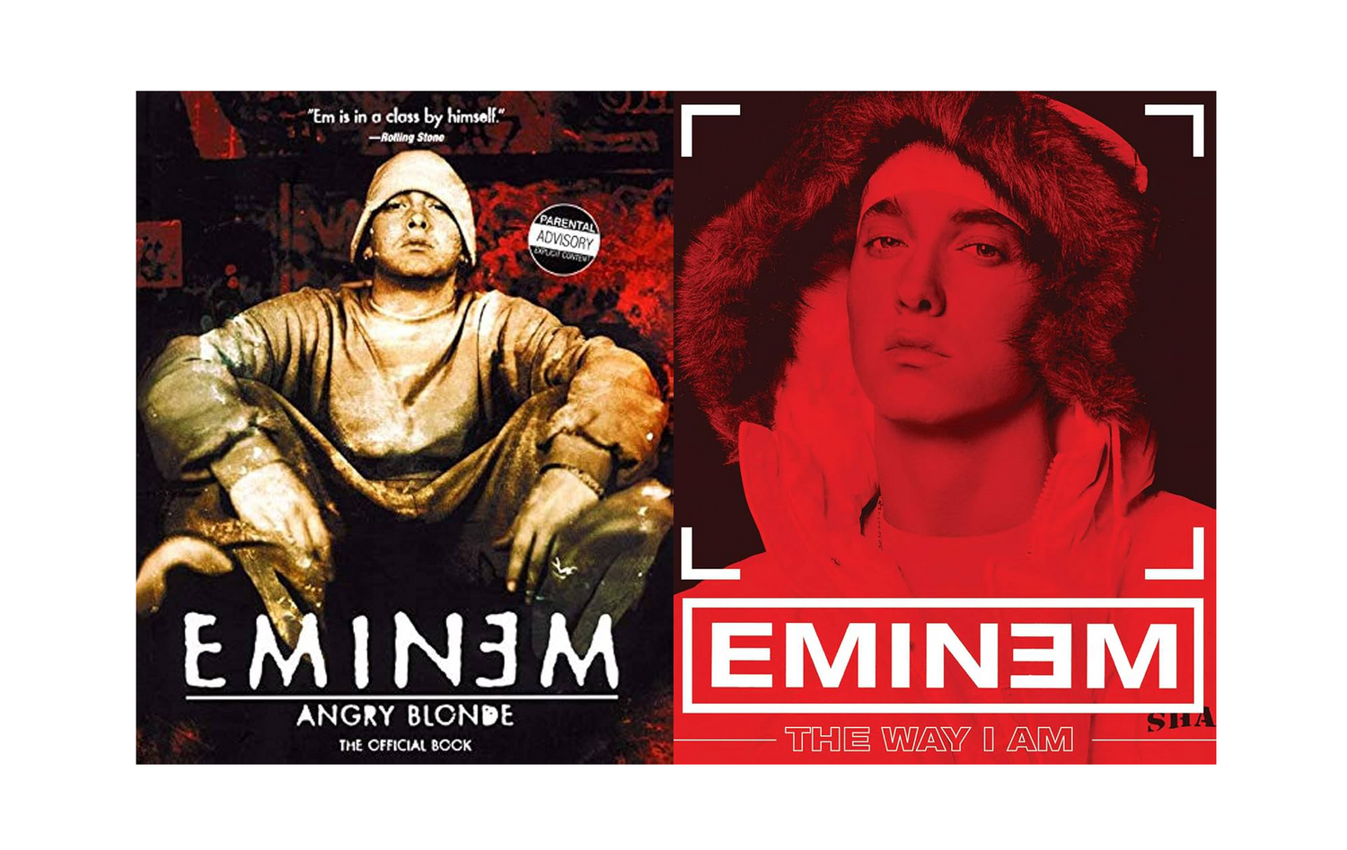 Books Written by Eminem - HipHopBooks.com